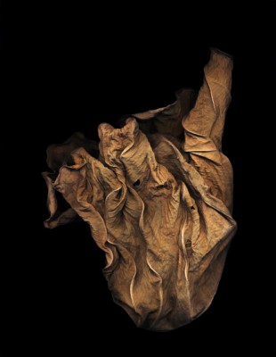 Chester Higgins Jr. in L’oeil de la Photographie | APAG – American ...