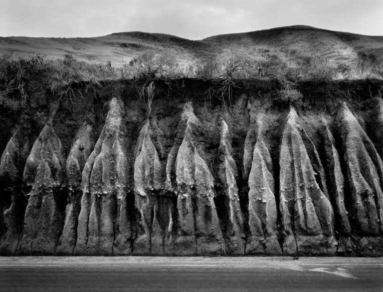 Wynn Bullock | APAG – American Photography Archives Group